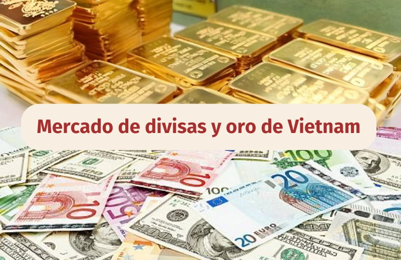 Infografía: Mercado de divisas y oro de Vietnam - 18 de junio de 2026