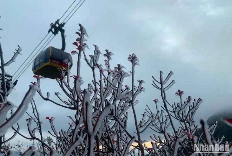Pico de Fansipan cubierto de escarcha | Nhan Dan Online