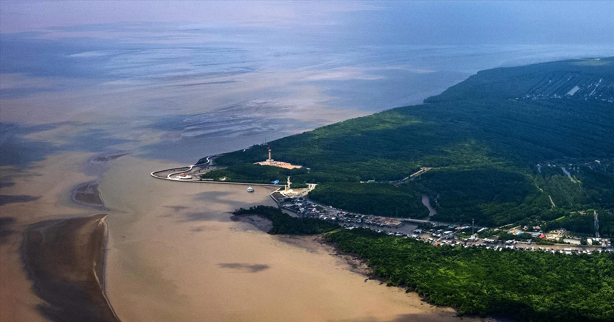 Ca Mau, punto brillante en el extremo meridional | Nhan Dan Online
