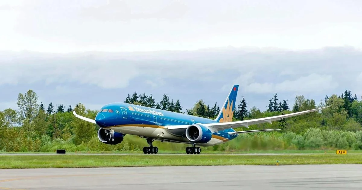 Avión de Vietnam Airlines regresa de emergencia para salvar a pasajera ...