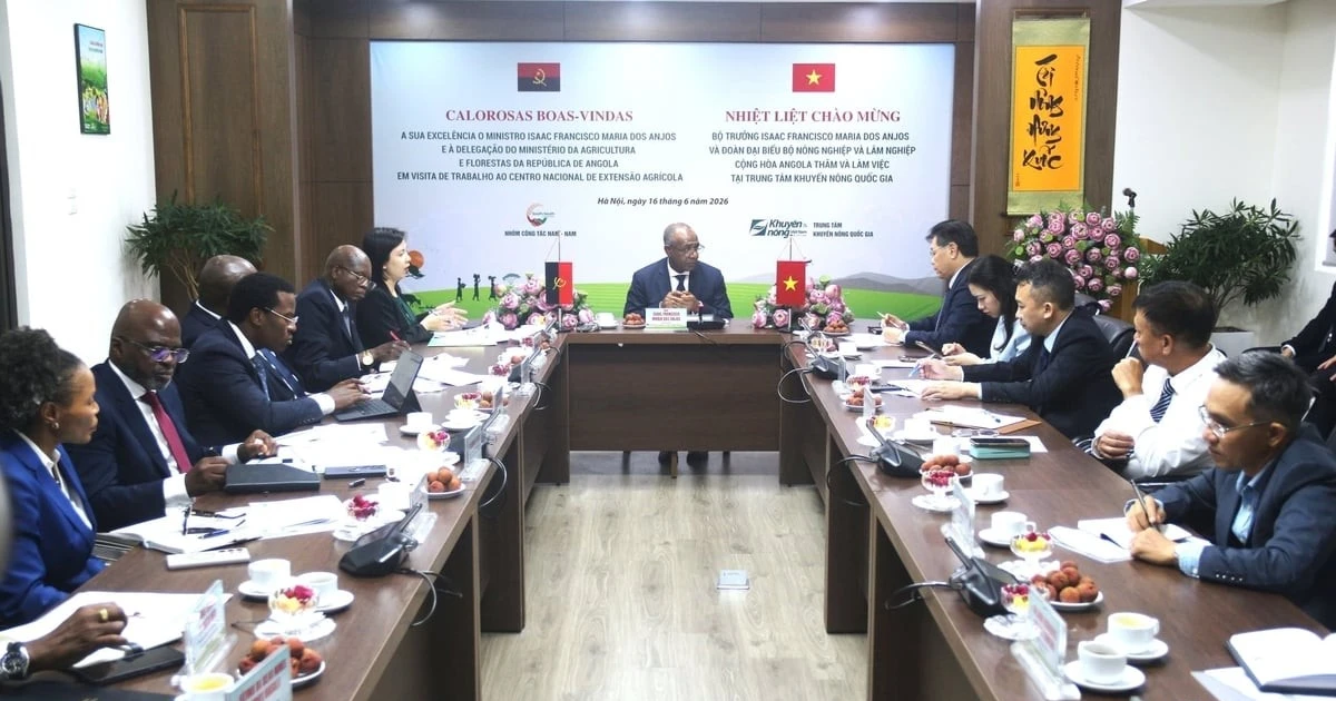 Vietnam y Angola buscan ampliar la cooperación en extensión agrícola y ...