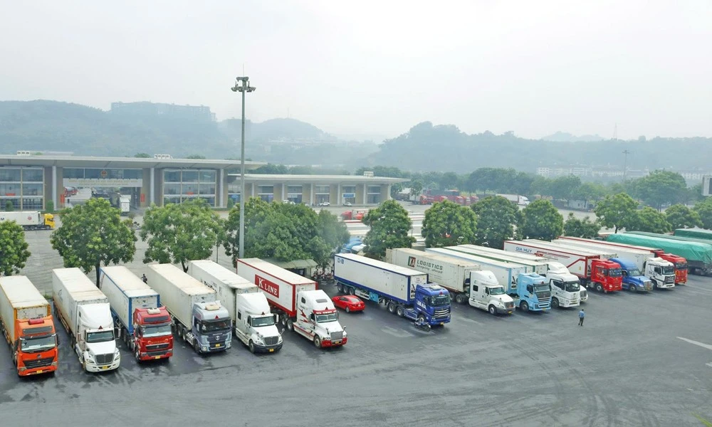 Más de 16 mil toneladas de lichis exportados a China a través del ...